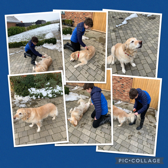 DGSB Screen Free Day - School Gallery - Dover Grammar School for Boys