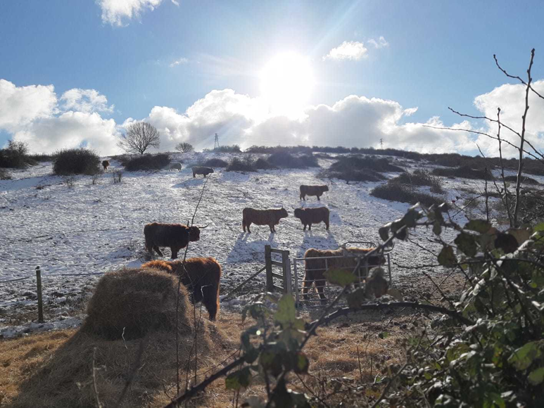 DGSB Screen Free Day - School Gallery - Dover Grammar School for Boys
