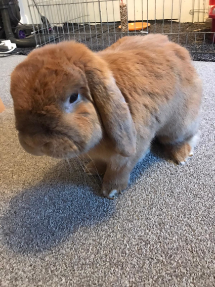 DGSB Screen Free Day - School Gallery - Dover Grammar School for Boys